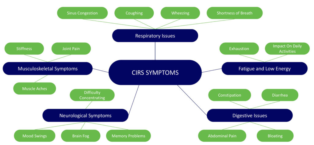 CIRS Symptoms: What They Are and How to Spot Them